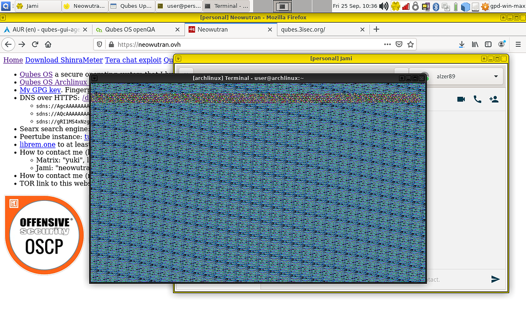 Weird Display in Archlinux Template in Qubes 4.1 - General - Qubes OS Forum