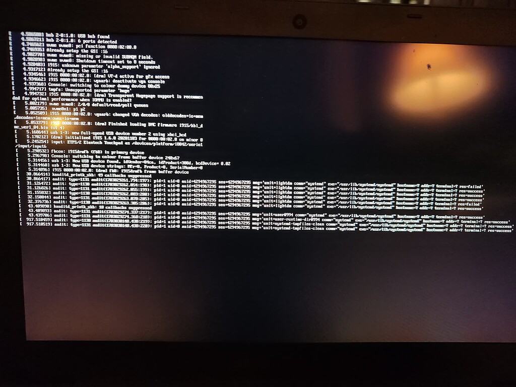 Boot stuck at warning "USB in dom0 is not restricted" - User Support - Qubes OS Forum